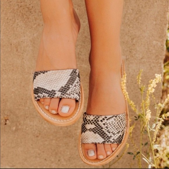 Freebird by Steven | Shoes | Freebird By Steven Leather Animal Print ...